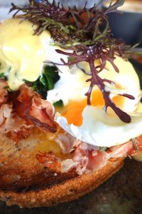 Road trip en Australie : de Port Stephens à Port Macquarie - Le blog de ...