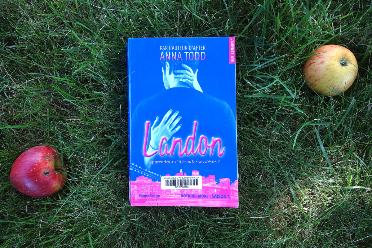 "Landon" saison 1, d'Anna Todd : la vie sentimentale du meilleur ami de ...