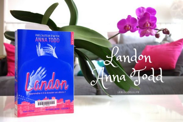 "Landon" saison 1, d'Anna Todd : la vie sentimentale du meilleur ami de ...