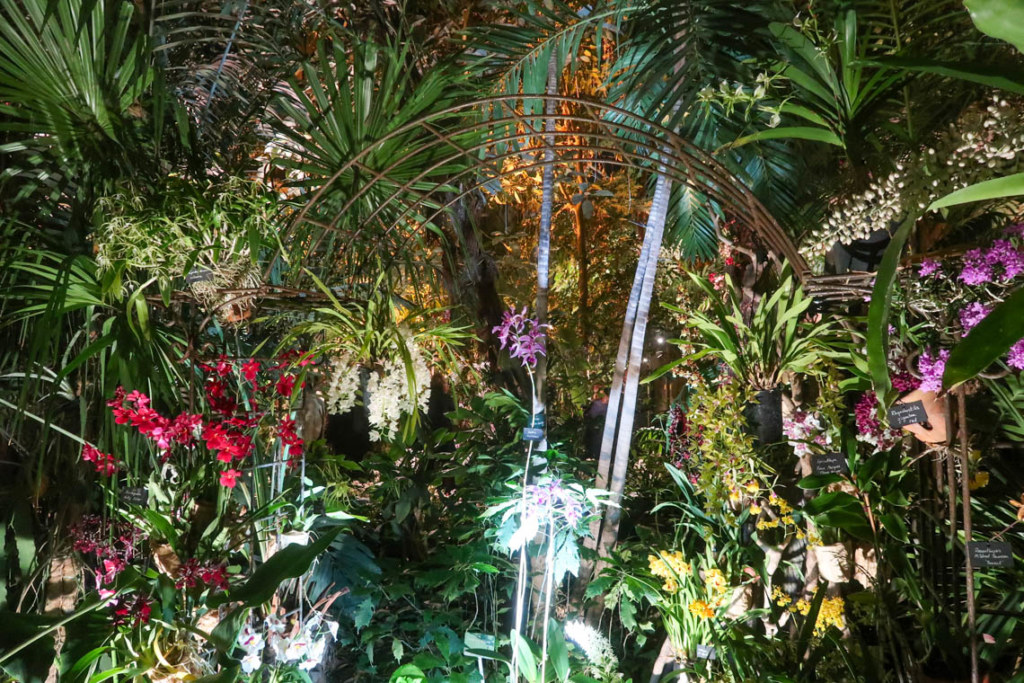 Exposition Orchidees Jardin Des Plantes Horaires