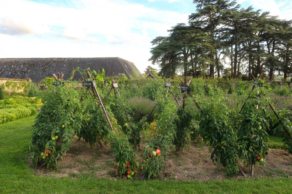 Notre séjour au château de la Bourdaisière, dans le Val de Loire - Le ...